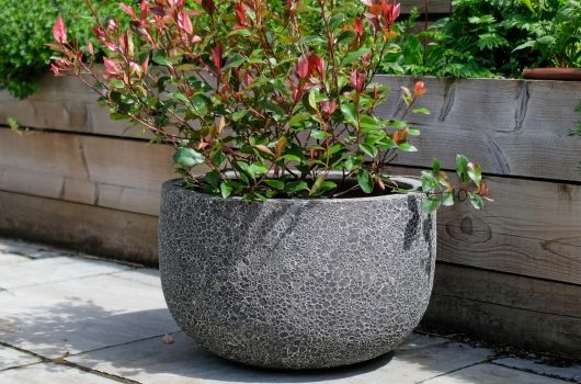 Contemporary Garden Planters, Plant Pots & Containers - IOTA UK