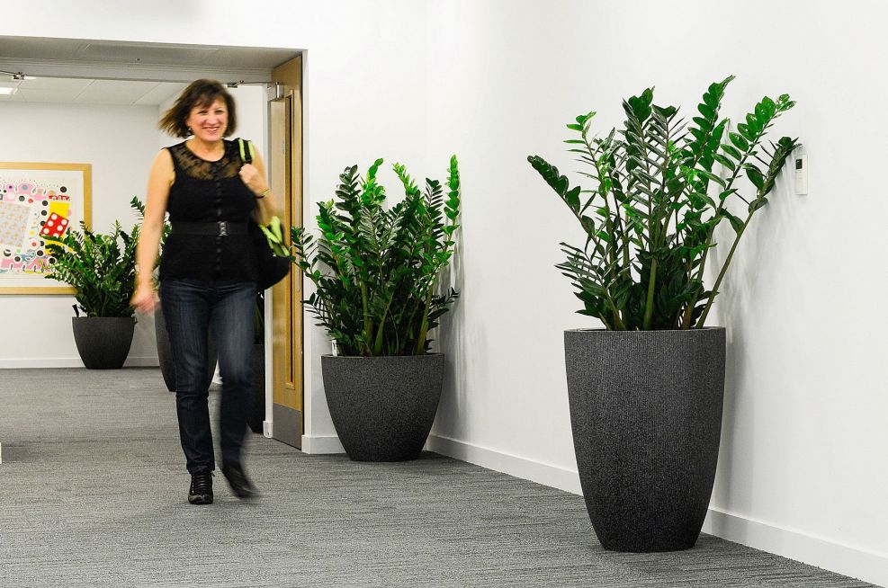 Aberdeen City Council - Lightweight Radial Planters for Civic Offices