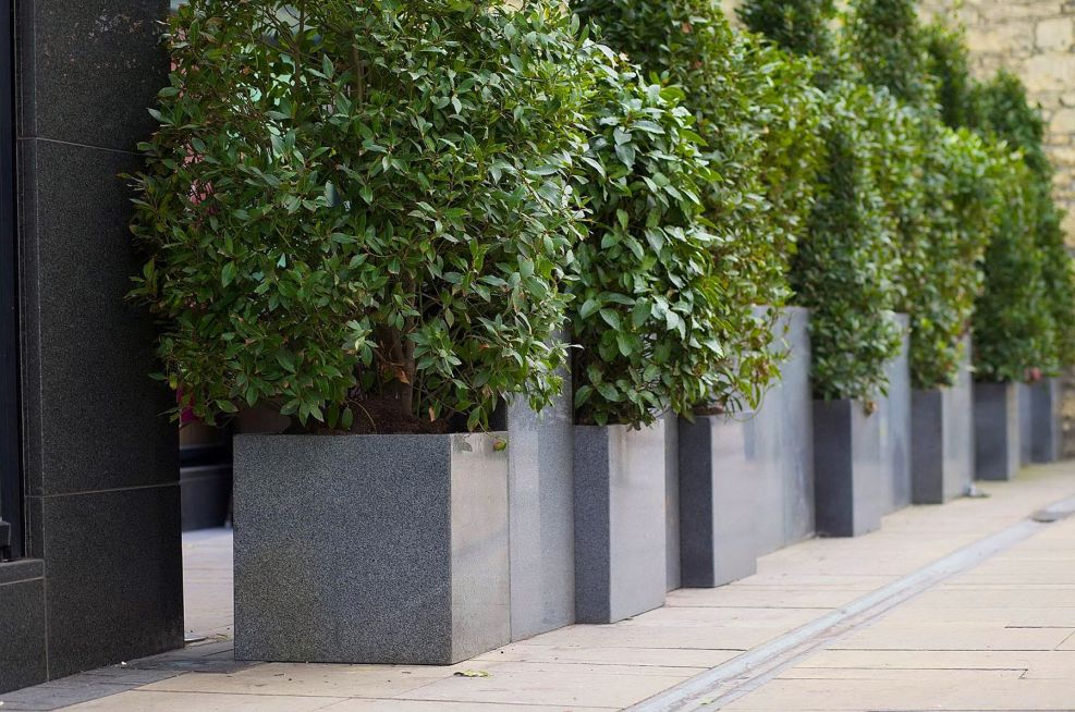The Savoy Hotel Limerick, Eire - Custom Planters and Plant Containers ...