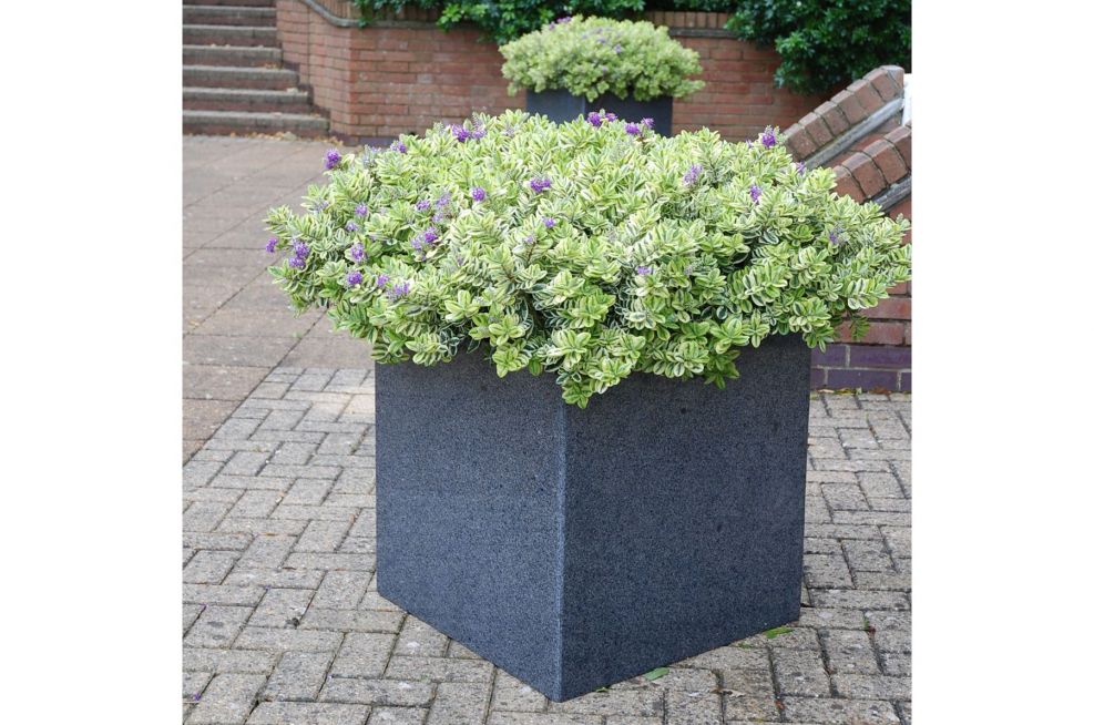 Seaview Bay, Isle Of Wight - Granite Stone Planters for Terraces